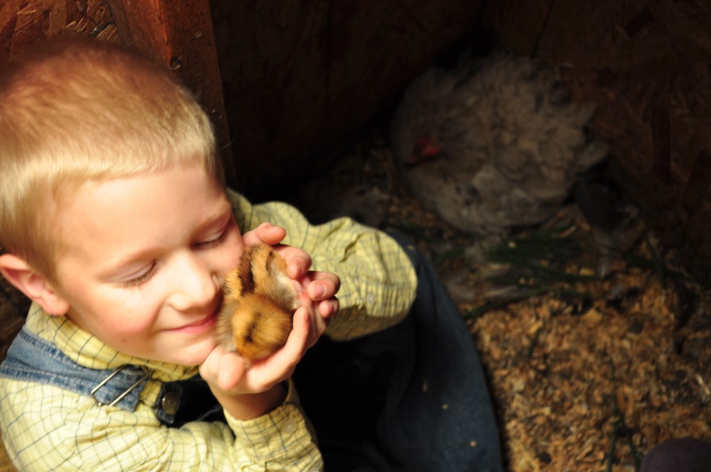 Babes and her new family - vomitingchicken.com