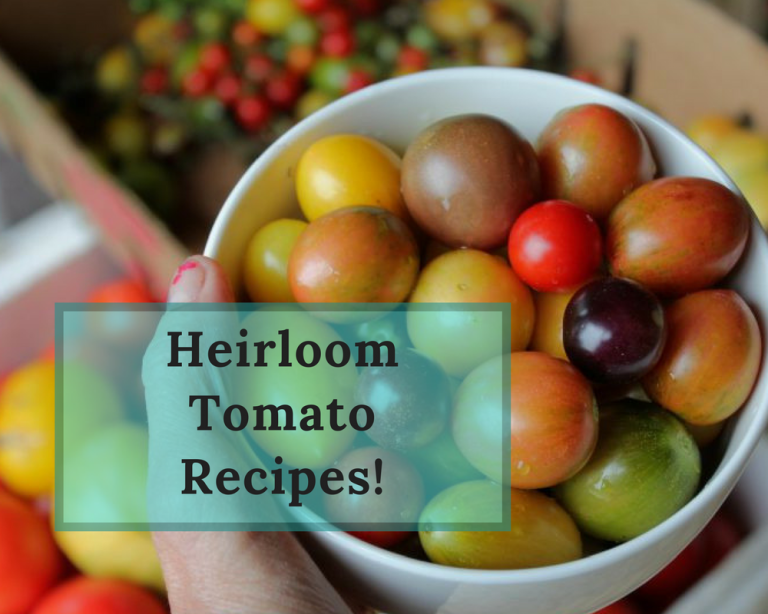 Heirloom Tomato - vomitingchicken.com