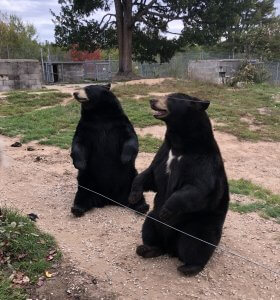 Road-trip: Exploring Michigan's UP - vomitingchicken.com