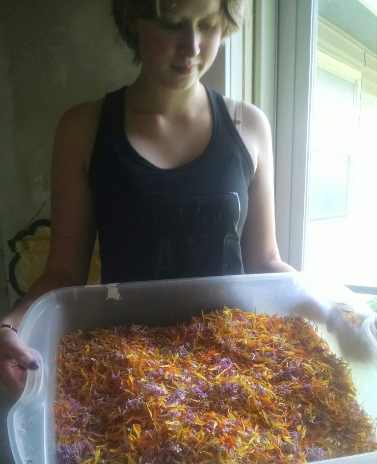 Edible flowers: why, how, what, and wheretofore! - vomitingchicken.com