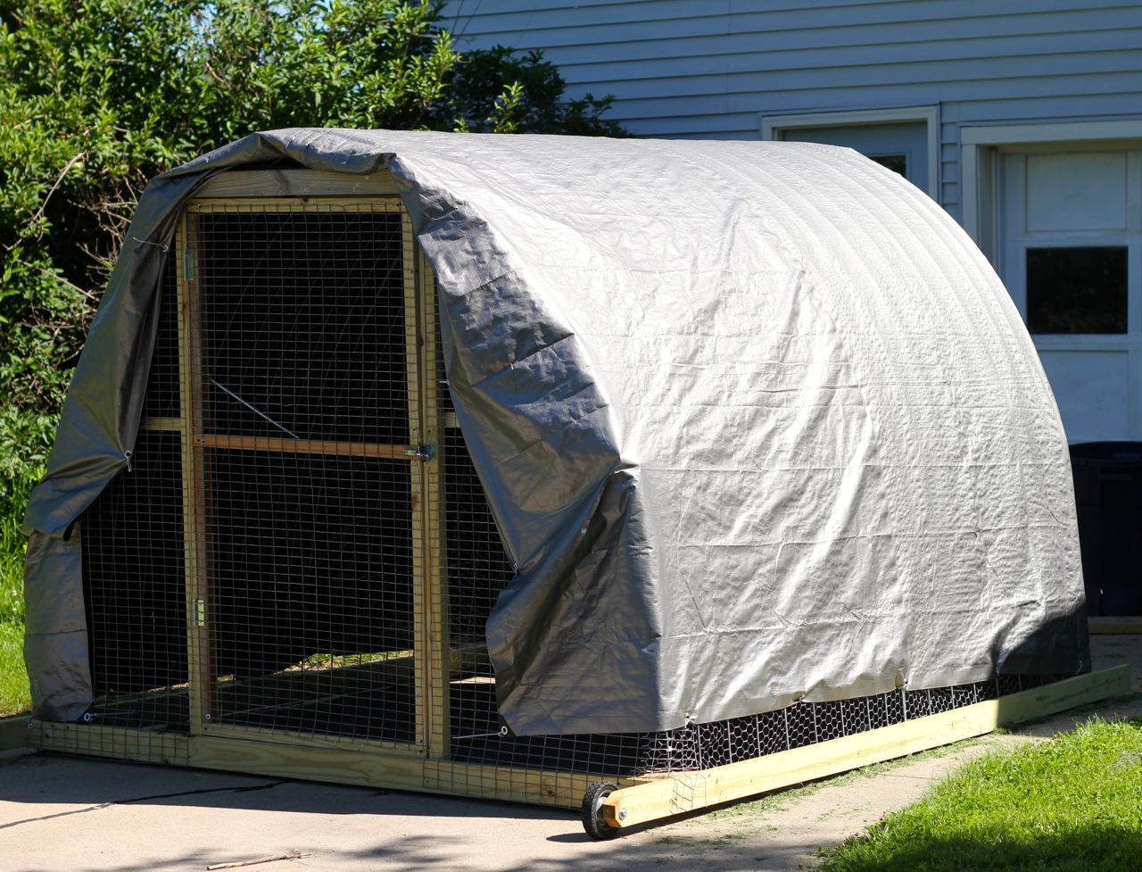 My New Chicken Tractor: brand new digs for the meat chooks ...