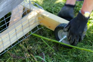 My New Chicken Tractor: brand new digs for the meat chooks ...