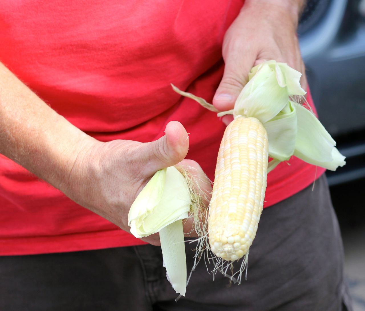 How to shuck sweet corn-fast!-from an ole' pro - vomitingchicken.com
