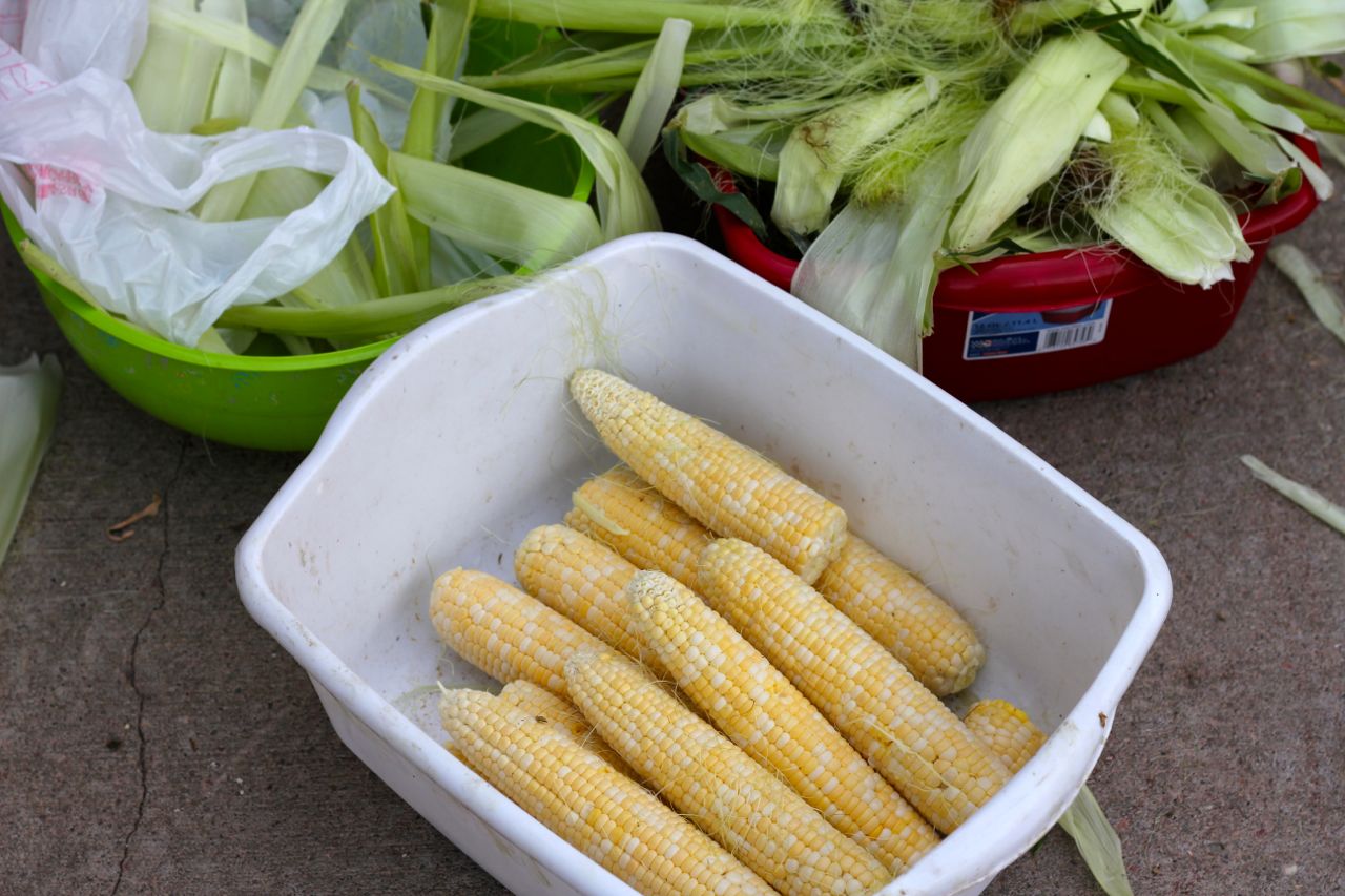 How to shuck sweet corn-fast!-from an ole' pro - vomitingchicken.com