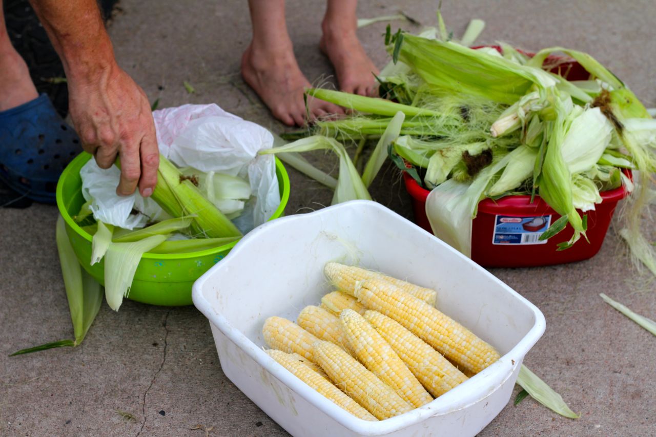 How to shuck sweet corn-fast!-from an ole' pro - vomitingchicken.com