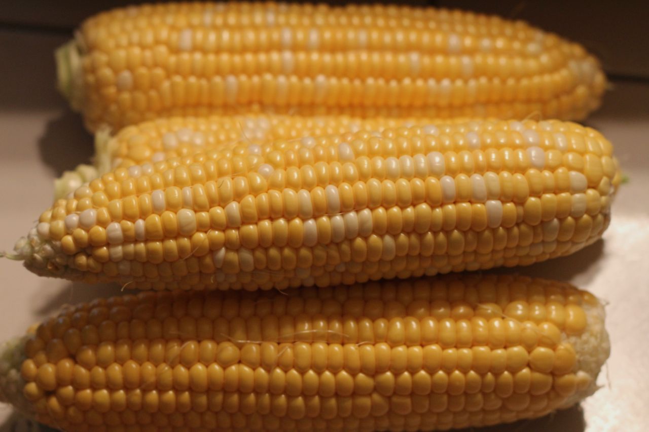Oh Yeah. Putting up sweet corn. Sweet sticky goodness ...