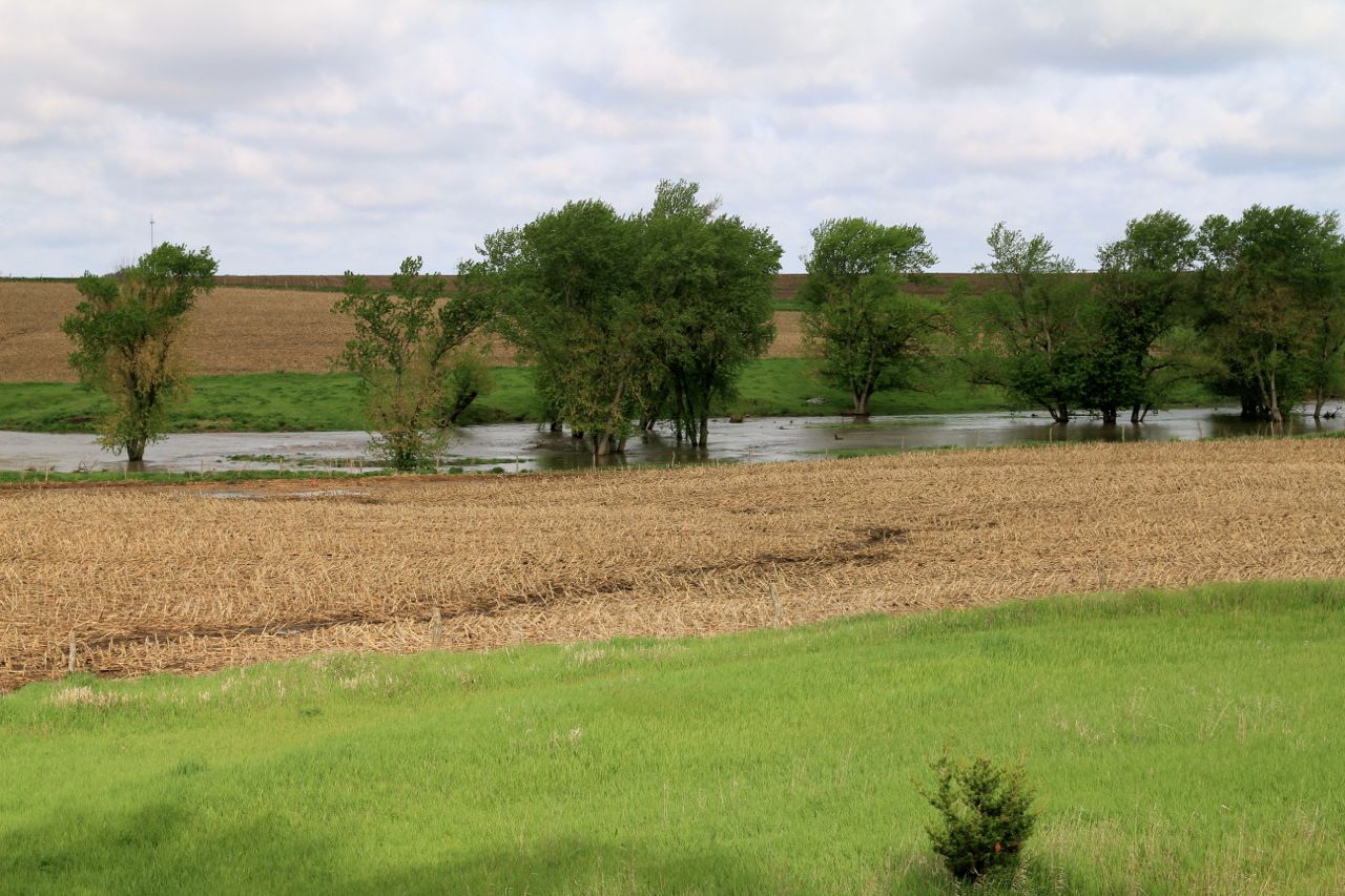 Farm Tour 2: flooding, budding, digging, spring - vomitingchicken.com