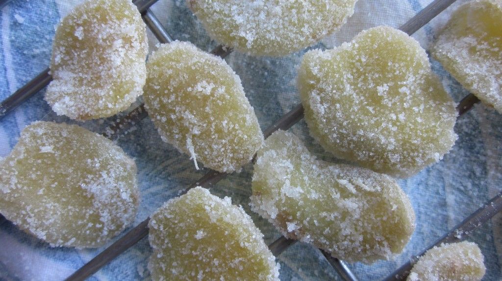The Best Way to Preserve Ginger Root, & Celebrations! - vomitingchicken.com