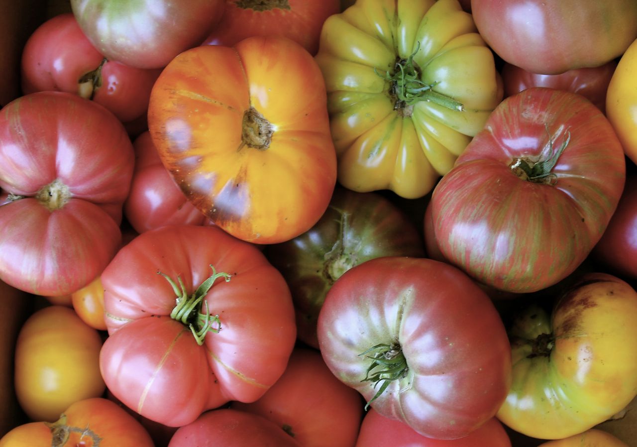 Heirloom tomatoes in my garden: this year's favorites, so far ...