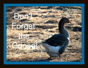 Don't Forget the Goose! - vomitingchicken.com