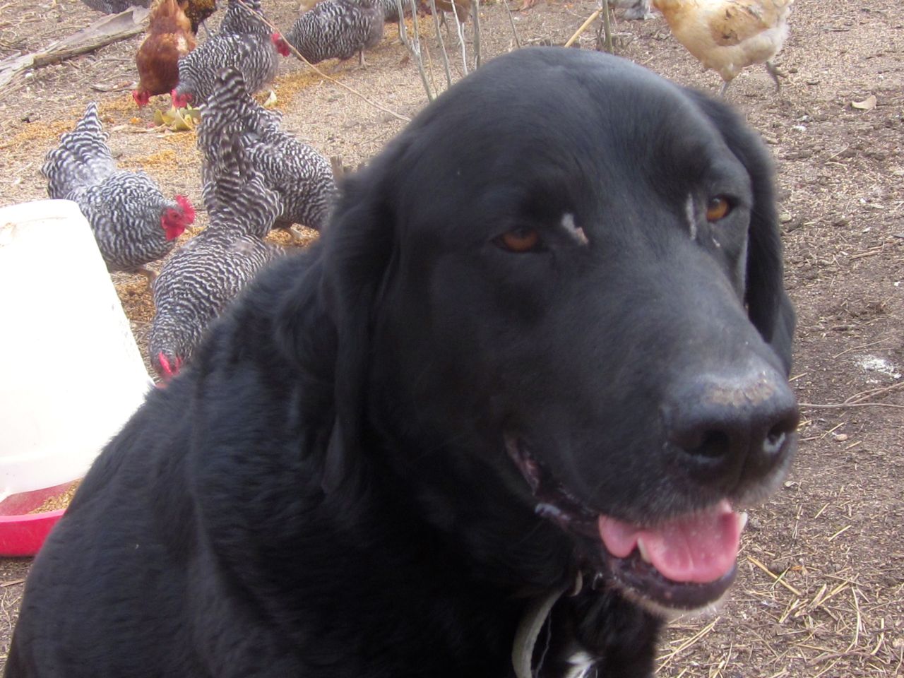 The Excruciating Sweetness of Spring, and a Secret (shhhh ...