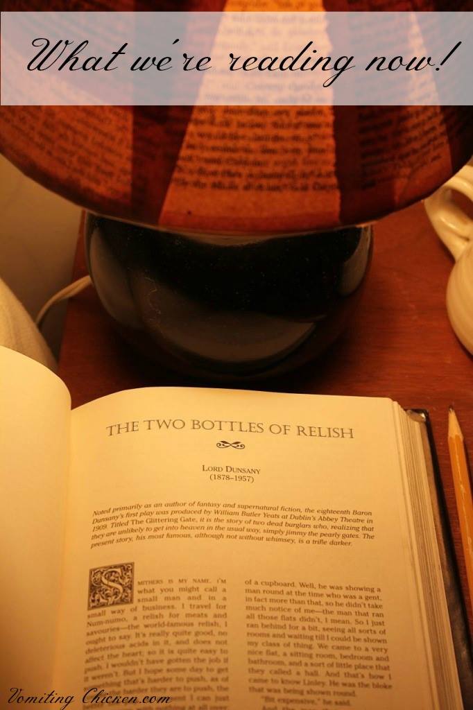 What we are reading now: treasures in several genres! - vomitingchicken.com