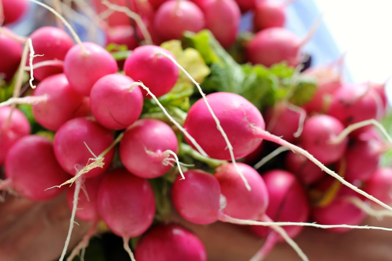 Eat your greens: 5 ways to prepare radish leaves! - vomitingchicken.com