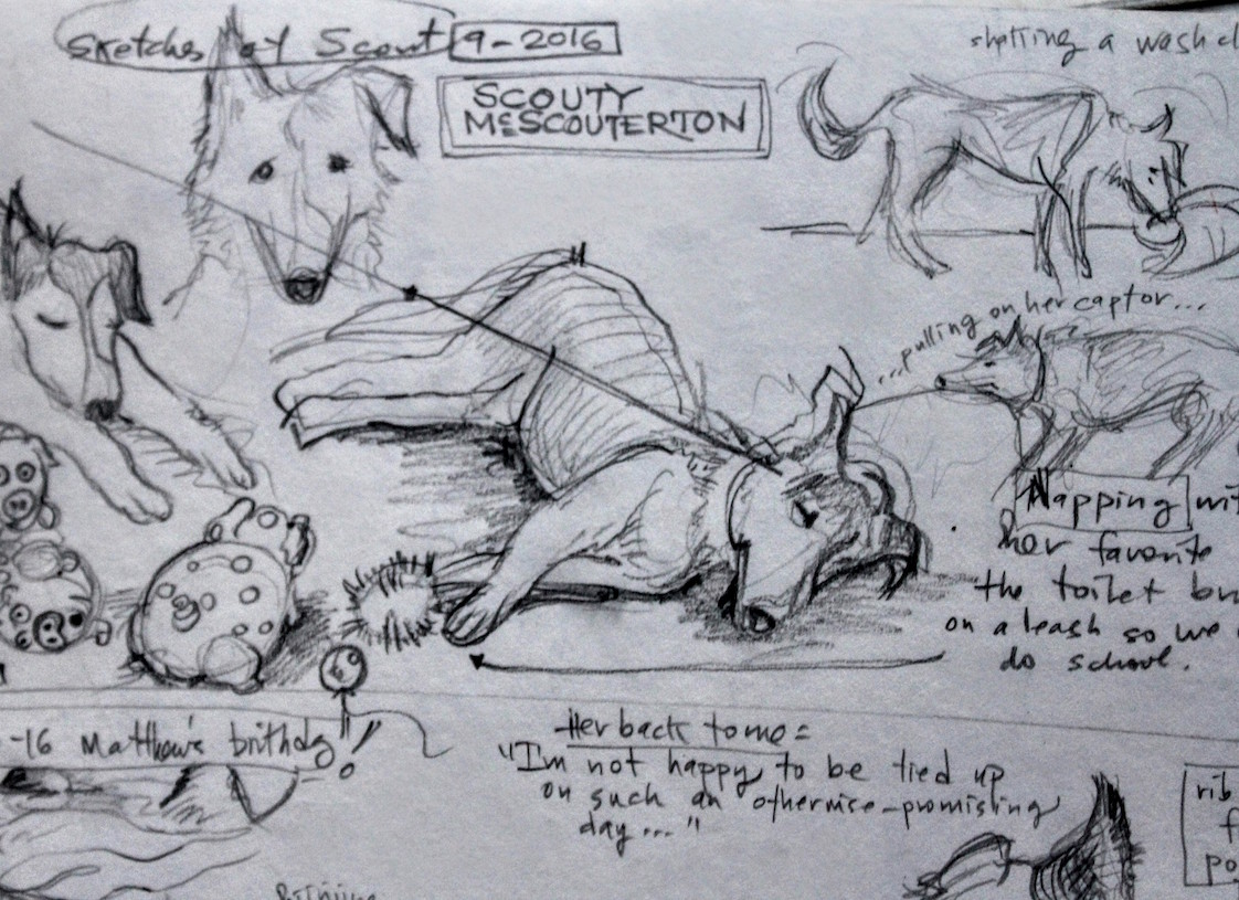 Sketchbook Thursday: drawing the puppy and how to do memory sketches ...