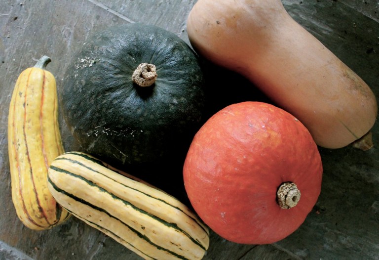 What to do with that pretty squash you just purchased - vomitingchicken.com