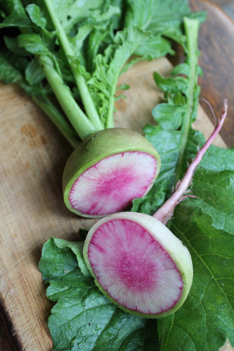 Winter radishes: international veg of mystery - vomitingchicken.com